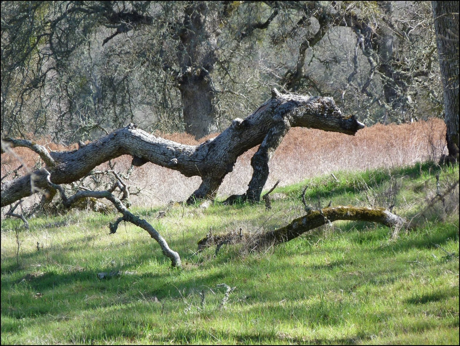 Climate Change? Here's What You Need To Know - Green Ecosystem Initiative